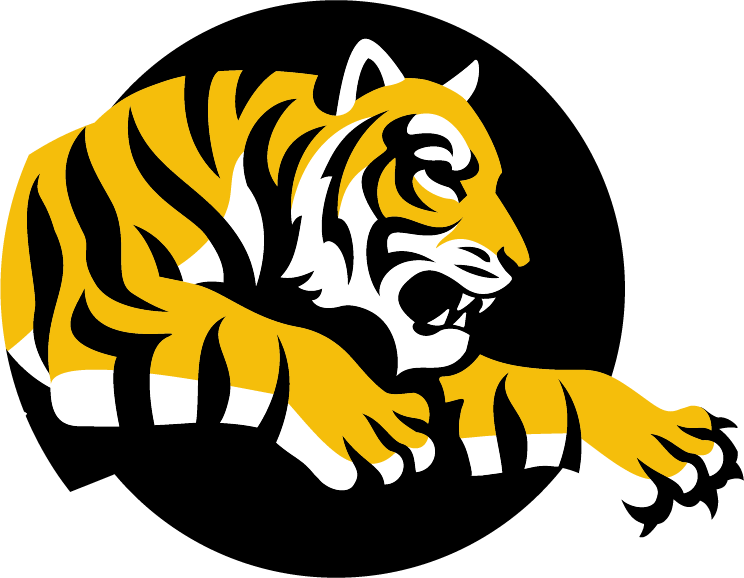 Services : Tiger Teams